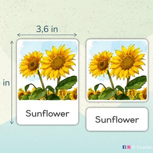 Summer Words 3-part Cards. Printable Learning Flashcards Activity ...