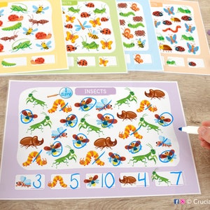 Bugs & Insects I Spy Counting Activity. Preschool, Pre-k, Kindergarten ...
