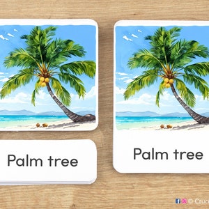 Summer Words 3-part Cards. Printable Learning Flashcards Activity ...