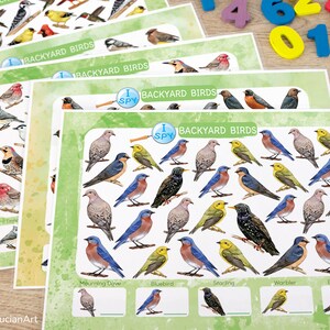 Backyard Birds I Spy Counting Activity. Preschool Learning Worksheets ...