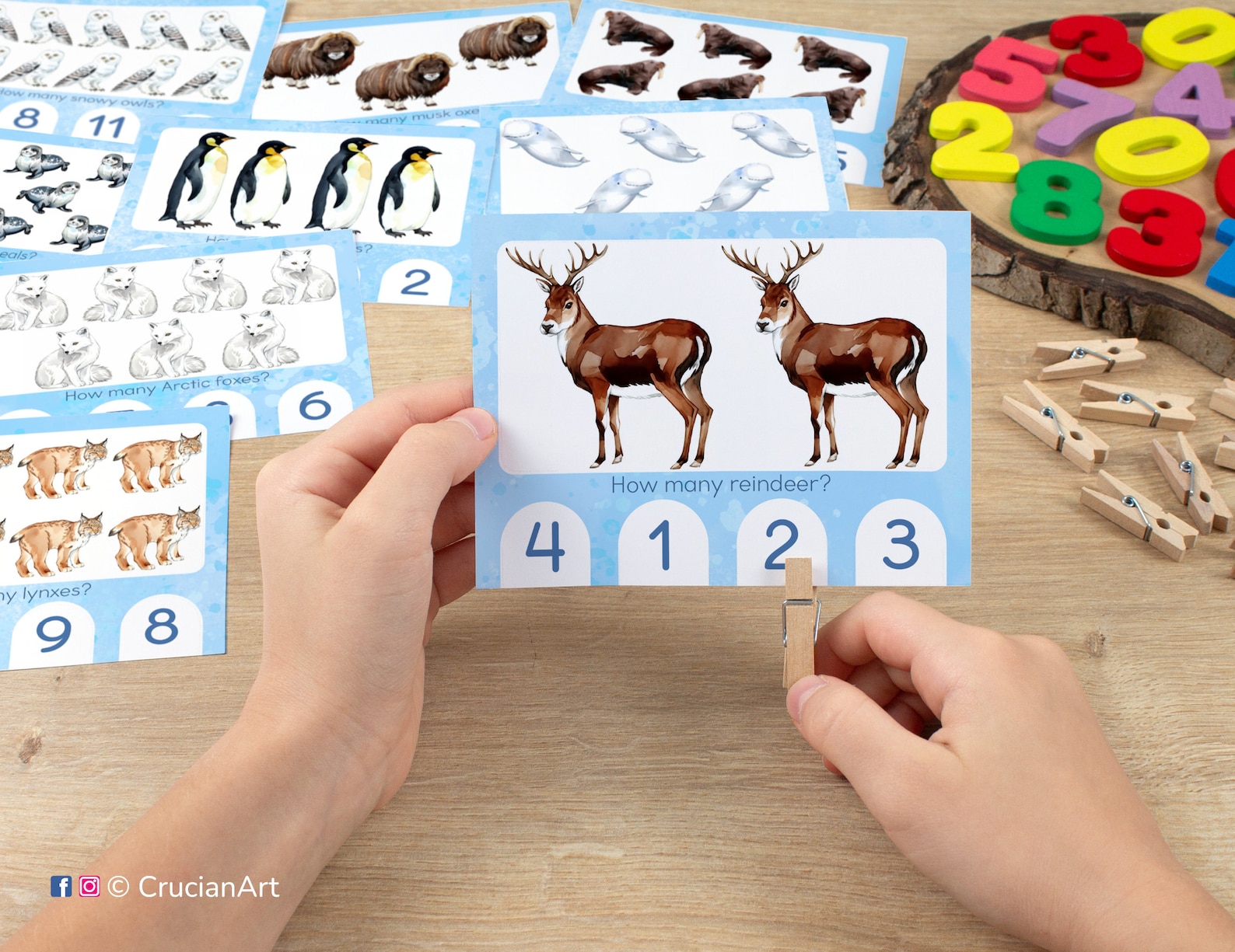 Polar Animals Count & Clip Cards. Printable Counting up to 12 Activity ...
