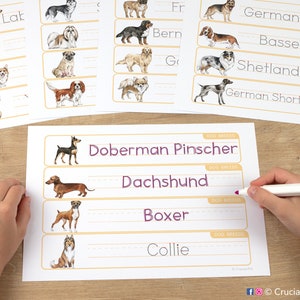 Dog Breed Tracing Strips: Printable Educational Activities, Preschool ...