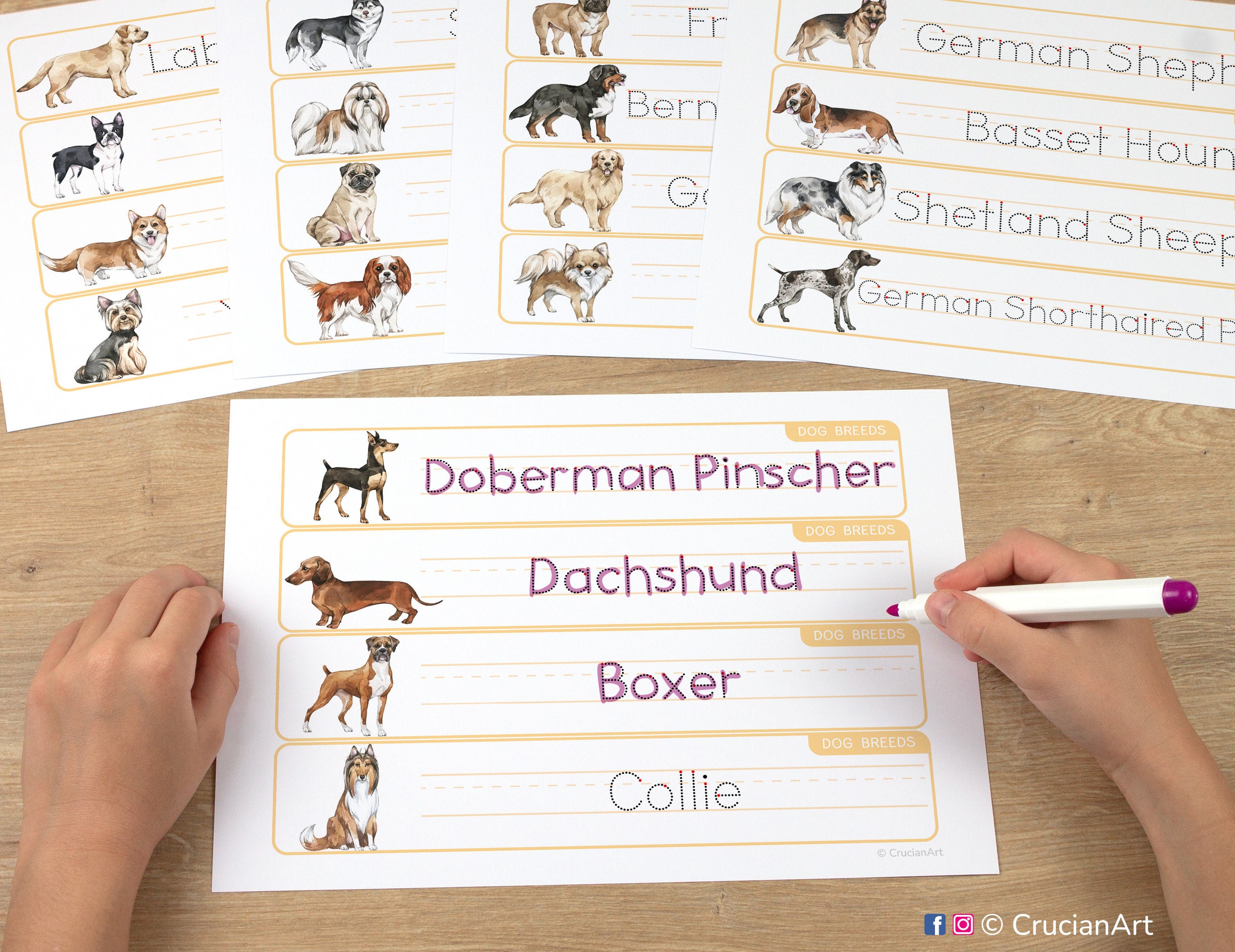 Dog Breed Tracing Strips: Printable Educational Activities, Preschool ...
