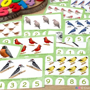 North American Backyard Birds Count & Clip Cards. Printable Homeschool ...