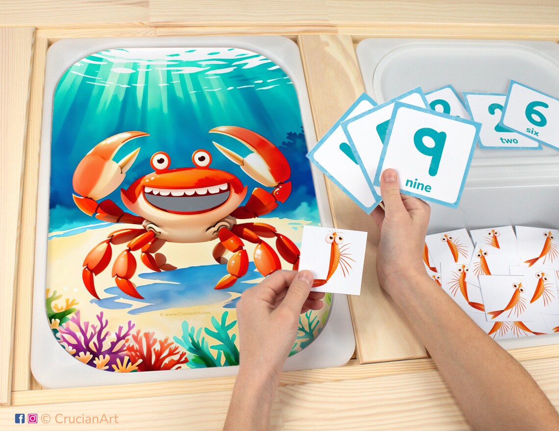 Feed the Crab Plankton Flisat Insert: Counting Activity for Sensory ...