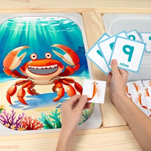 Feed the Crab Plankton Flisat Insert: Counting Activity for Sensory ...