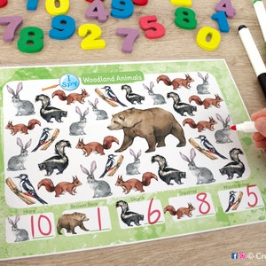 Woodland Animals I Spy Counting Activity. Preschool Learning Worksheets ...