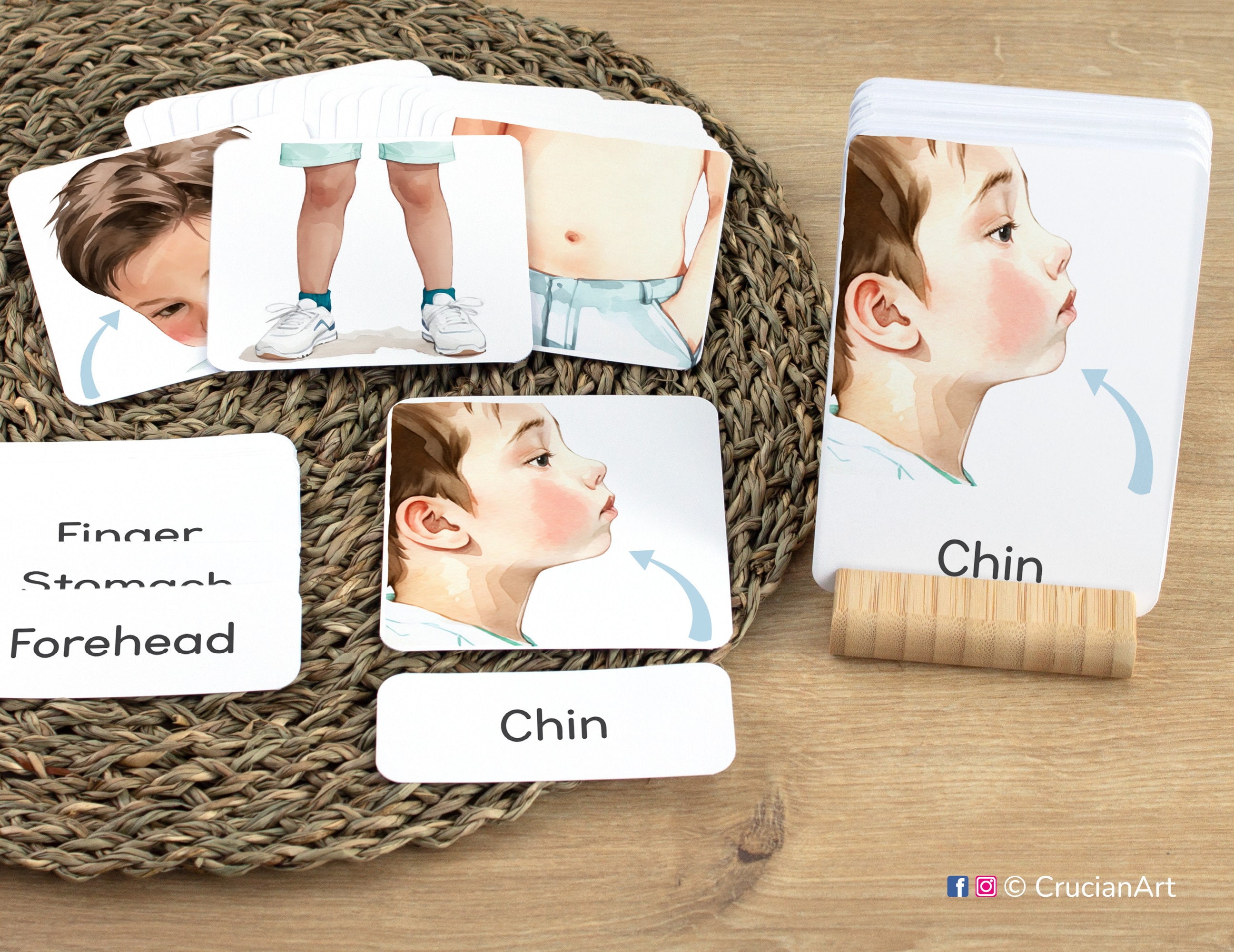 BOY & GIRL Versions Body Parts 3-part Cards. Body Identification ...