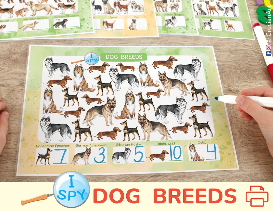 Dog Breeds I Spy Counting Activity. Preschool Learning Worksheets ...