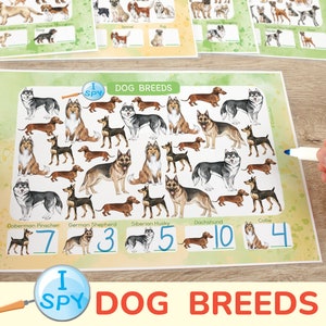 Dog Breeds I Spy Counting Activity. Preschool Learning Worksheets ...