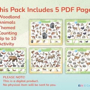 Woodland Animals I Spy Counting Activity. Preschool Learning Worksheets ...