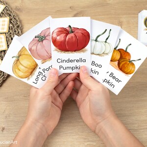 Pumpkins and Squashes Bingo Game: Printable Preschool, Kindergarten ...