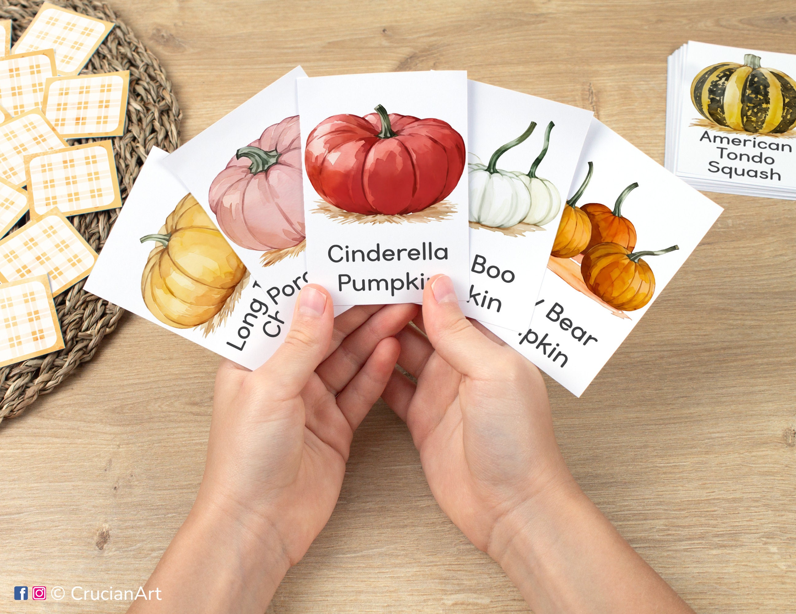 Pumpkins and Squashes Bingo Game: Printable Preschool, Kindergarten ...