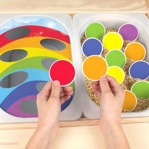 Rainbow Colors Flisat Insert: Color Sorting Activity for Sensory Table ...