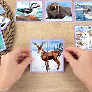 Polar Animals Puzzle Pairs: Printable Match Cards for Toddlers ...