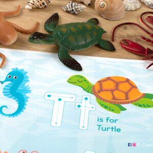 Ocean Alphabet Tracing Activity. Printable Uppercase and Lowercase Sea ...