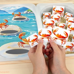 Sorting Crabs by Size: Printable Flisat Insert Activity for Sensory ...