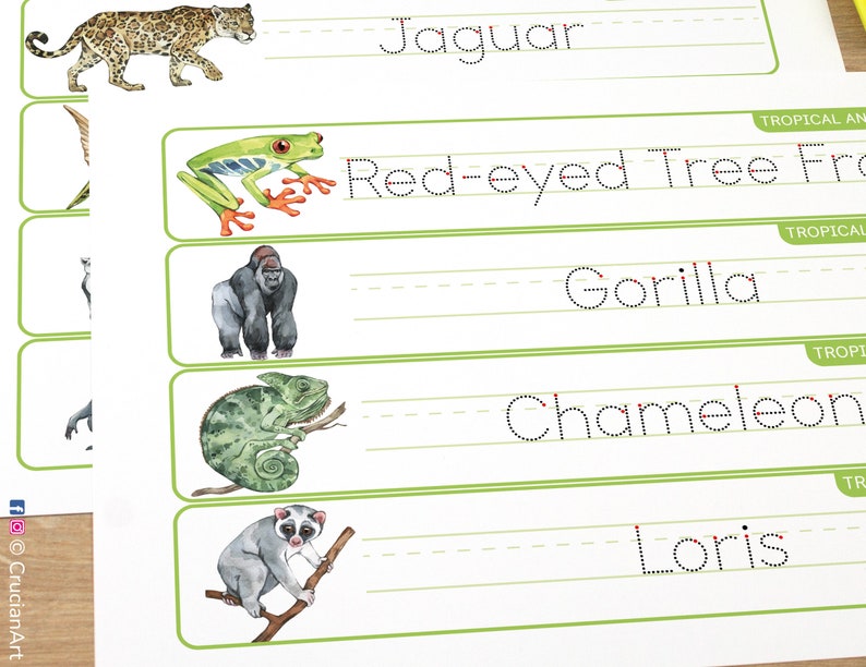 Tropische Tiere Tracing Strips: Druckbare pädagogische Arbeitsblätter ...