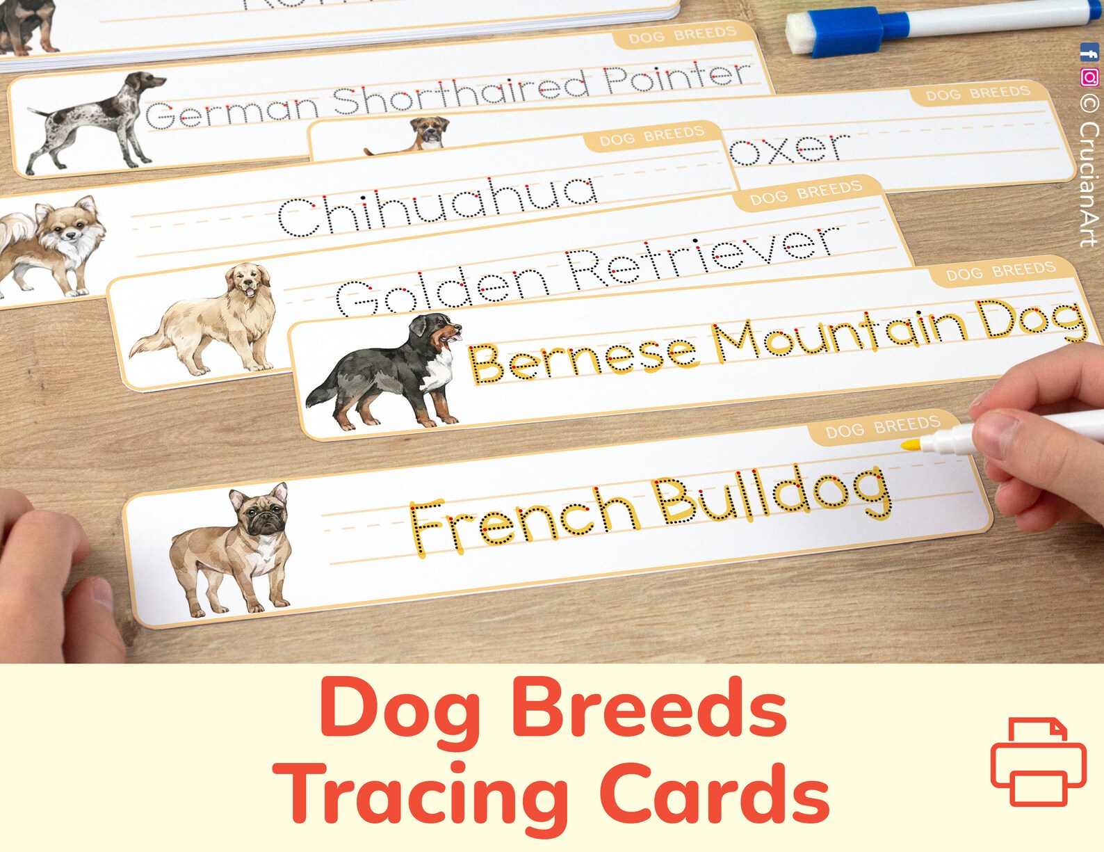 Dog Breed Tracing Strips: Printable Educational Activities, Preschool ...