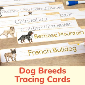 Dog Breed Tracing Strips: Printable Educational Activities, Preschool ...