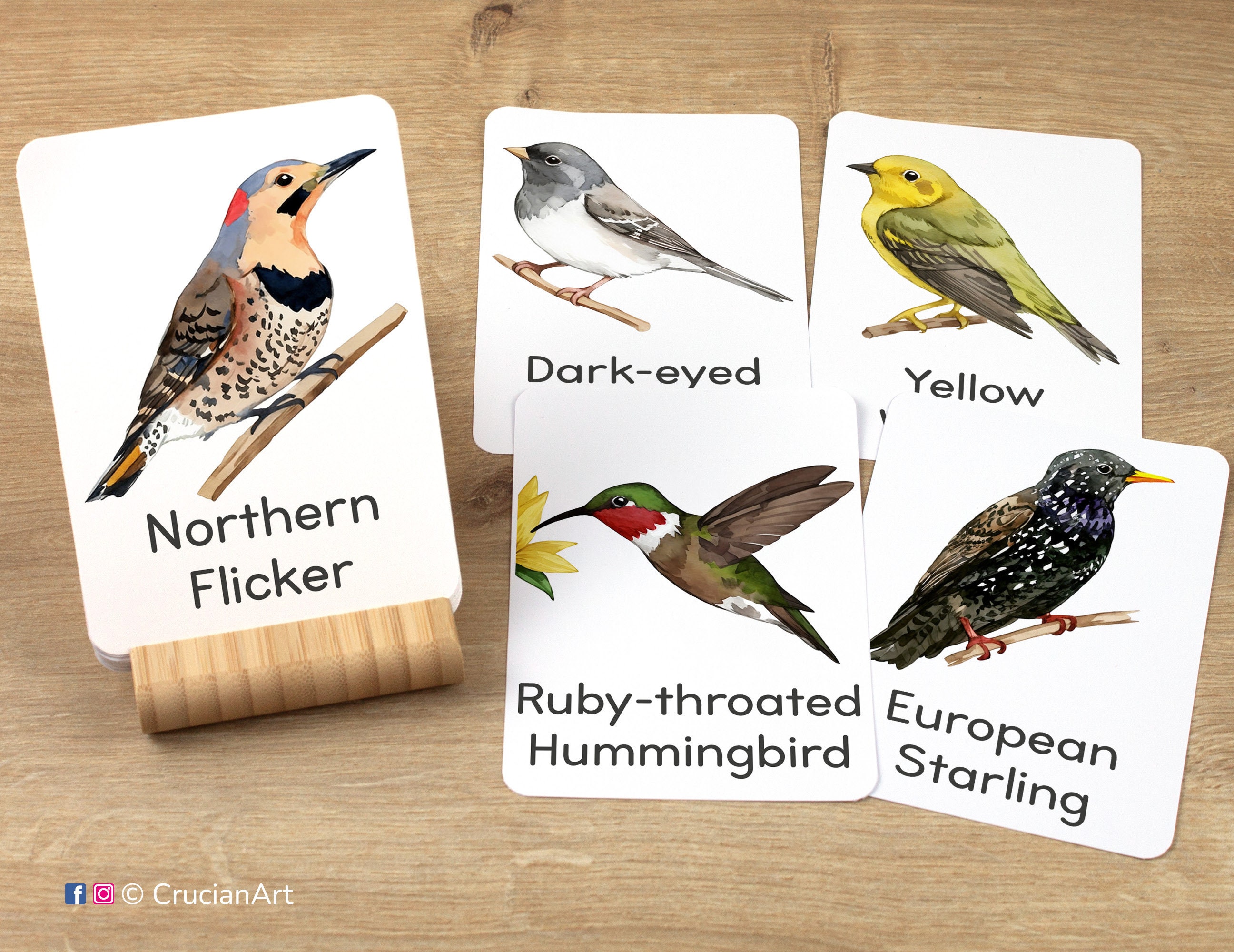 North American Backyard Birds Flash Cards. Printable Learning Materials ...