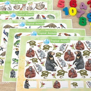 I Spy Tropical Rainforest Jungle Animals Counting Activity. Preschool ...