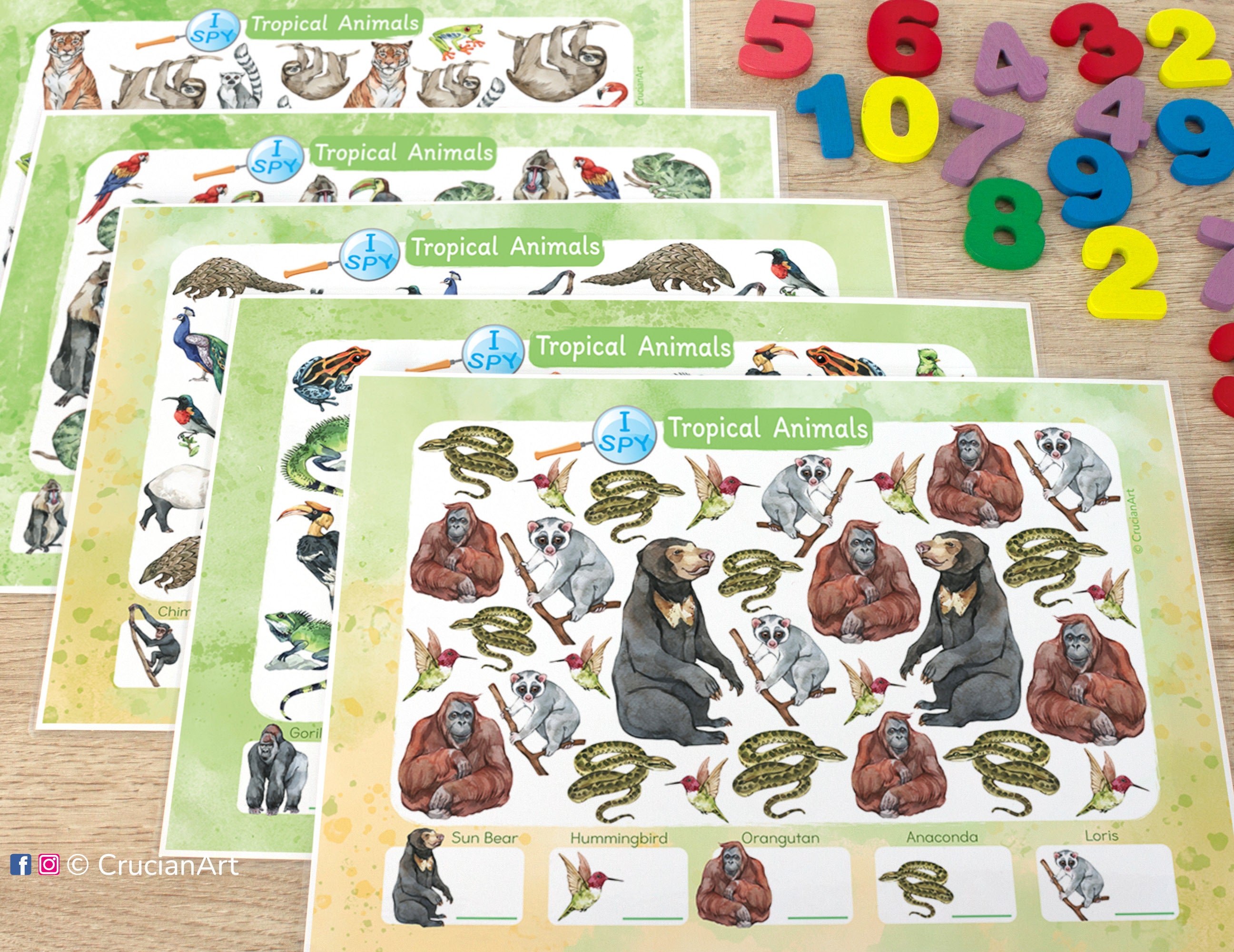 I Spy Tropical Rainforest Jungle Animals Counting Activity. Preschool ...
