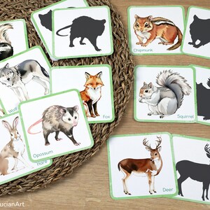 Woodland Animals Shadow Matching Activity: Toddler Printable Match ...