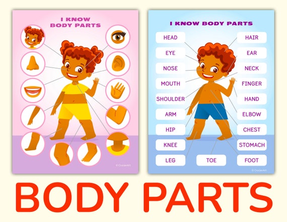 African American Body Parts and Face Parts Printable Activity. | Etsy