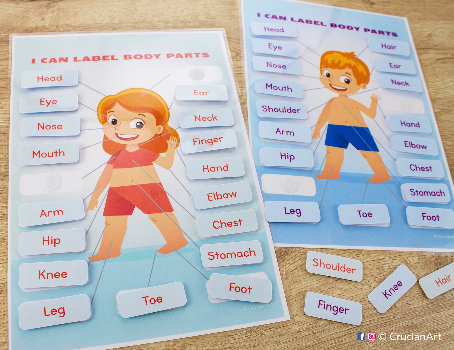 Body and Face Parts Printable Learning Pack for Toddler, Preschool, Pre ...