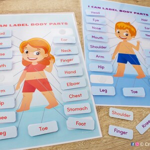 Body and Face Parts Printable Learning Pack for Toddler, Preschool, Pre ...