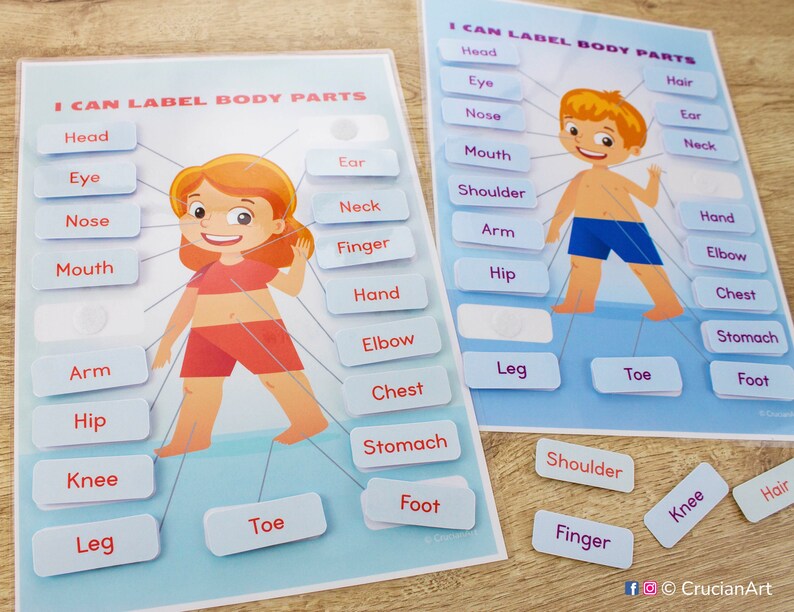 Body and Face Parts Printable Learning Pack for Toddler - Etsy