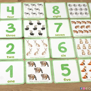 Woodland Animals Counting Activity: Printable Matching Cards. Preschool ...