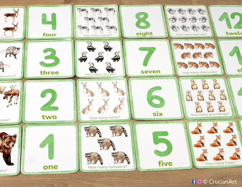 Woodland Animals Counting Activity: Printable Matching Cards. Preschool ...