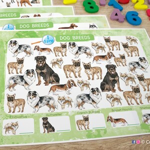 Dog Breeds I Spy Counting Activity. Preschool Learning Worksheets ...