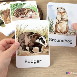 Woodland Animals Flashcards: Toddler Preschool Kindergarten Printable ...