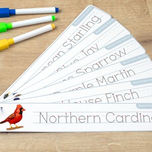 North American Backyard Birds Tracing Cards. Printable Learning ...