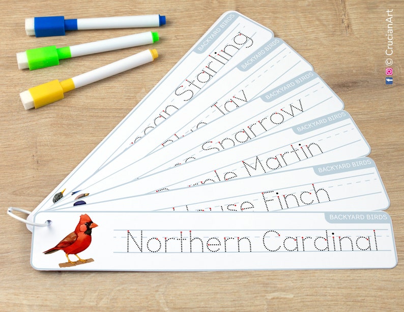 North American Backyard Birds Tracing Cards. Printable Learning ...