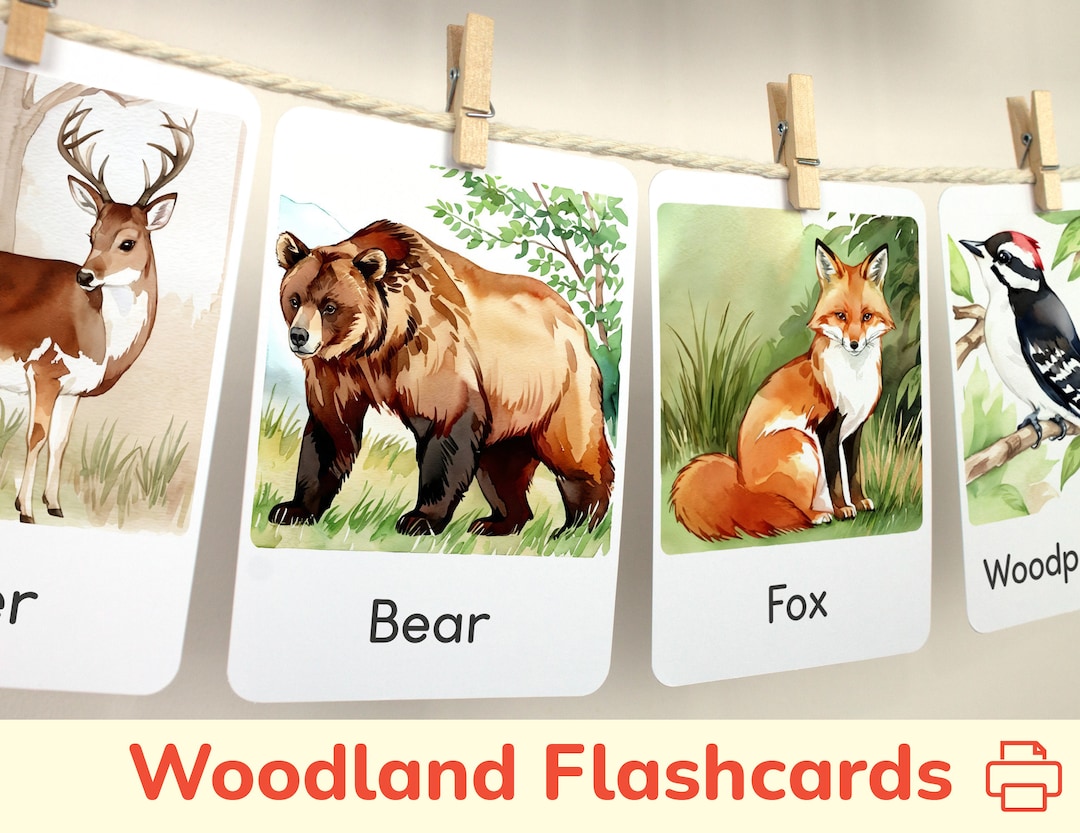 Woodland Animals Flashcards: Toddler Preschool Kindergarten Printable ...