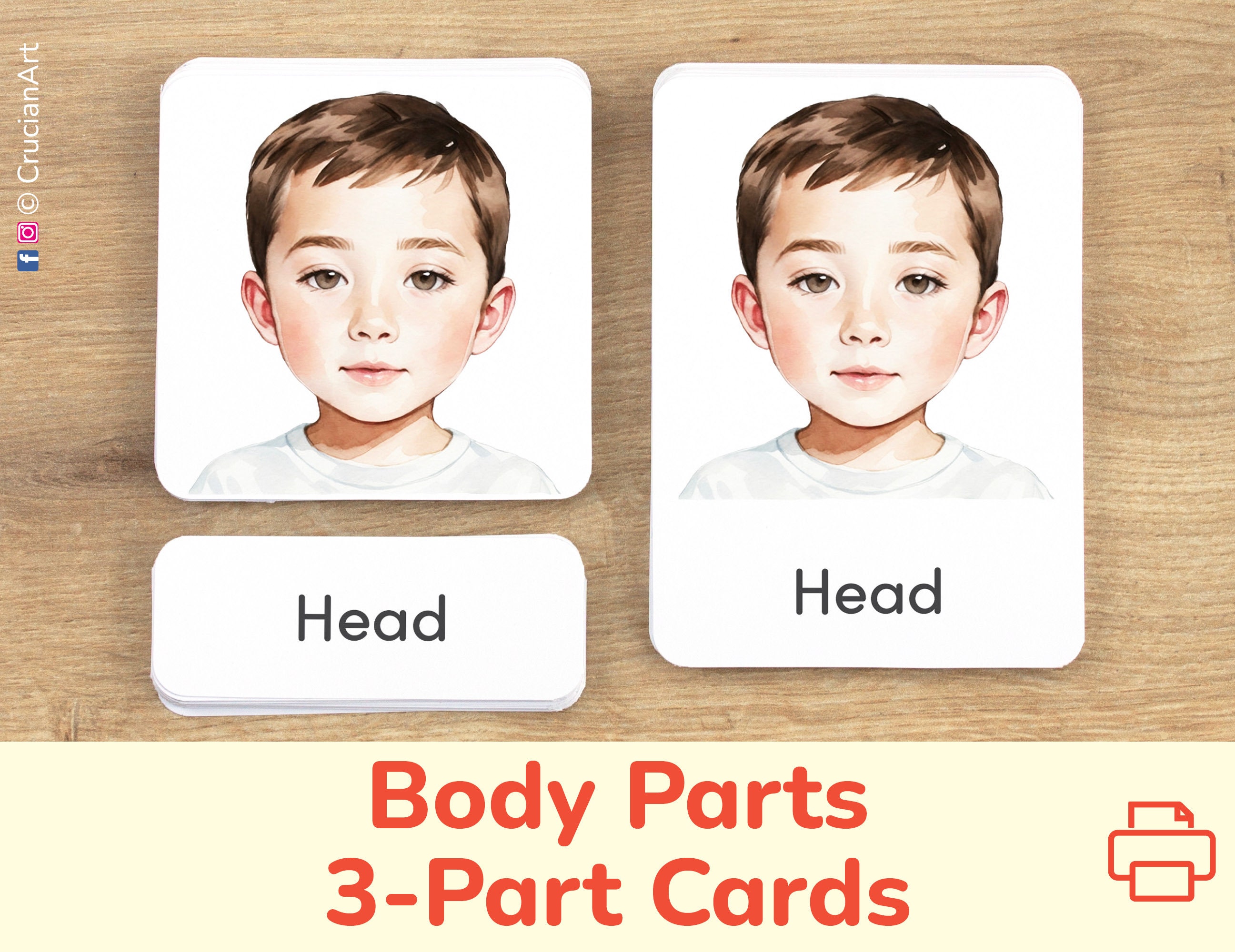 Boy Body Parts