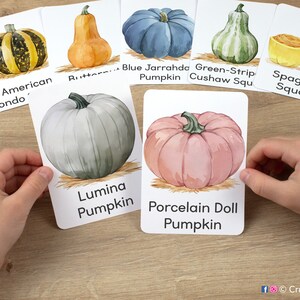 Pumpkin & Squash Flashcards: Seasonal Visual Cards for Fall Education ...