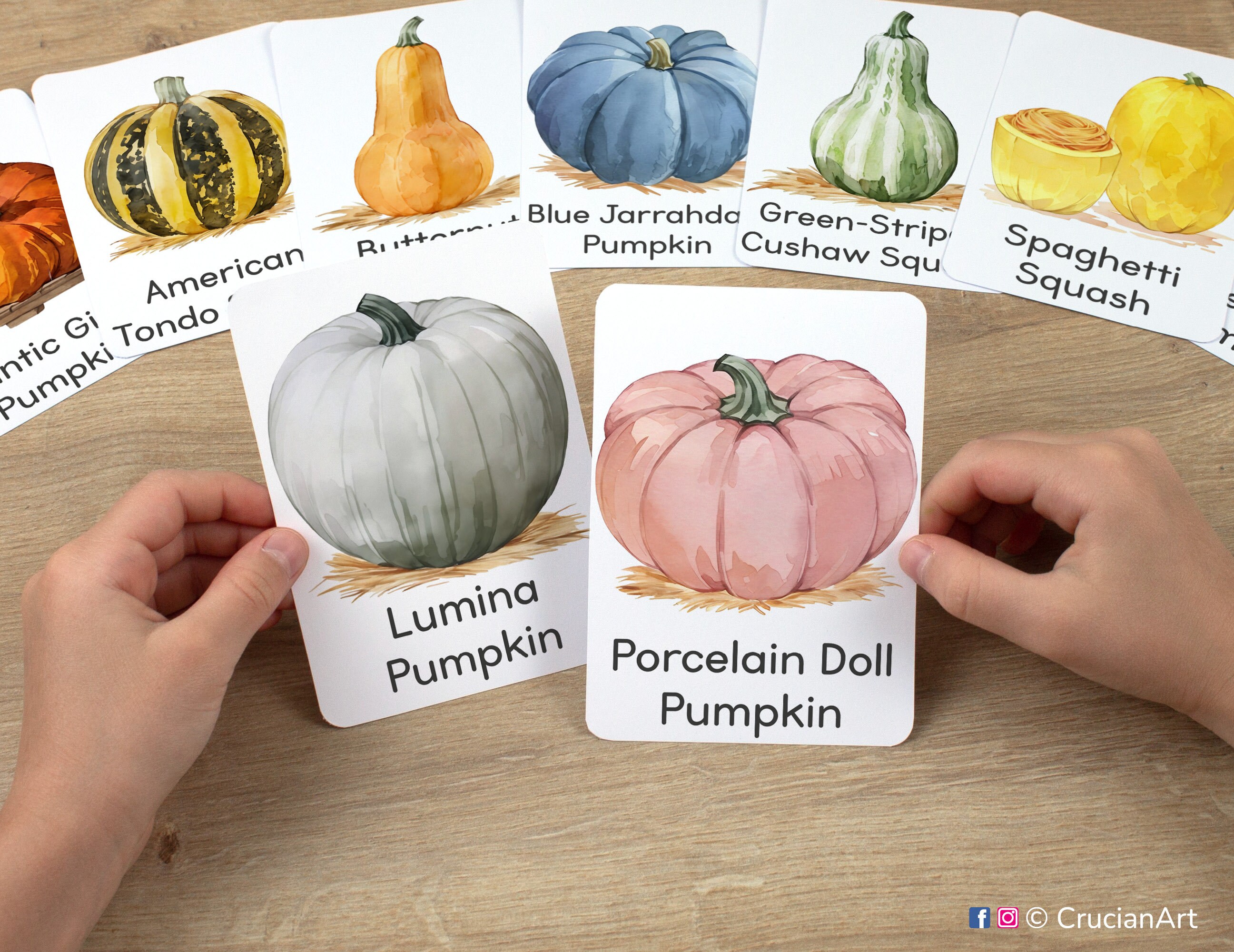 Pumpkin & Squash Flashcards: Seasonal Visual Cards for Fall Education ...
