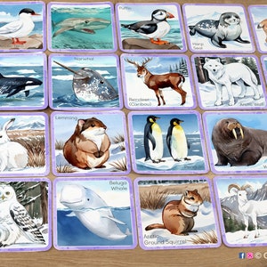Polar Animals Memory Game: Printable Toddler Preschool Kindergarten ...