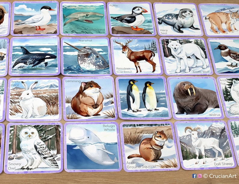 Polar Animals Memory Game: Printable Toddler Preschool Kindergarten ...