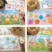 Four Seasons Bundle: Fall, Winter, Spring & Summer Busy Book. Preschool ...