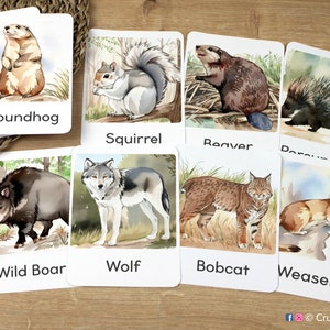 Woodland Animals Flashcards: Toddler Preschool Kindergarten Printable ...