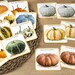 Pumpkin & Squash Memory Game: Printable Matching Activity. Autumn ...