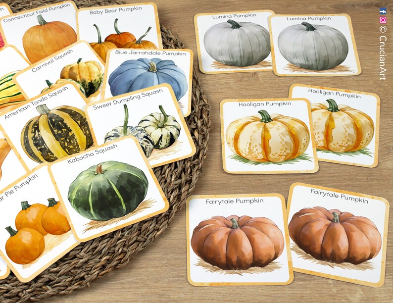 Pumpkin & Squash Memory Game: Printable Matching Activity. Autumn ...