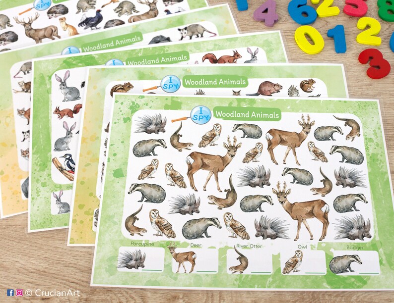 Woodland Animals I Spy Counting Activity. Preschool Learning Worksheets ...