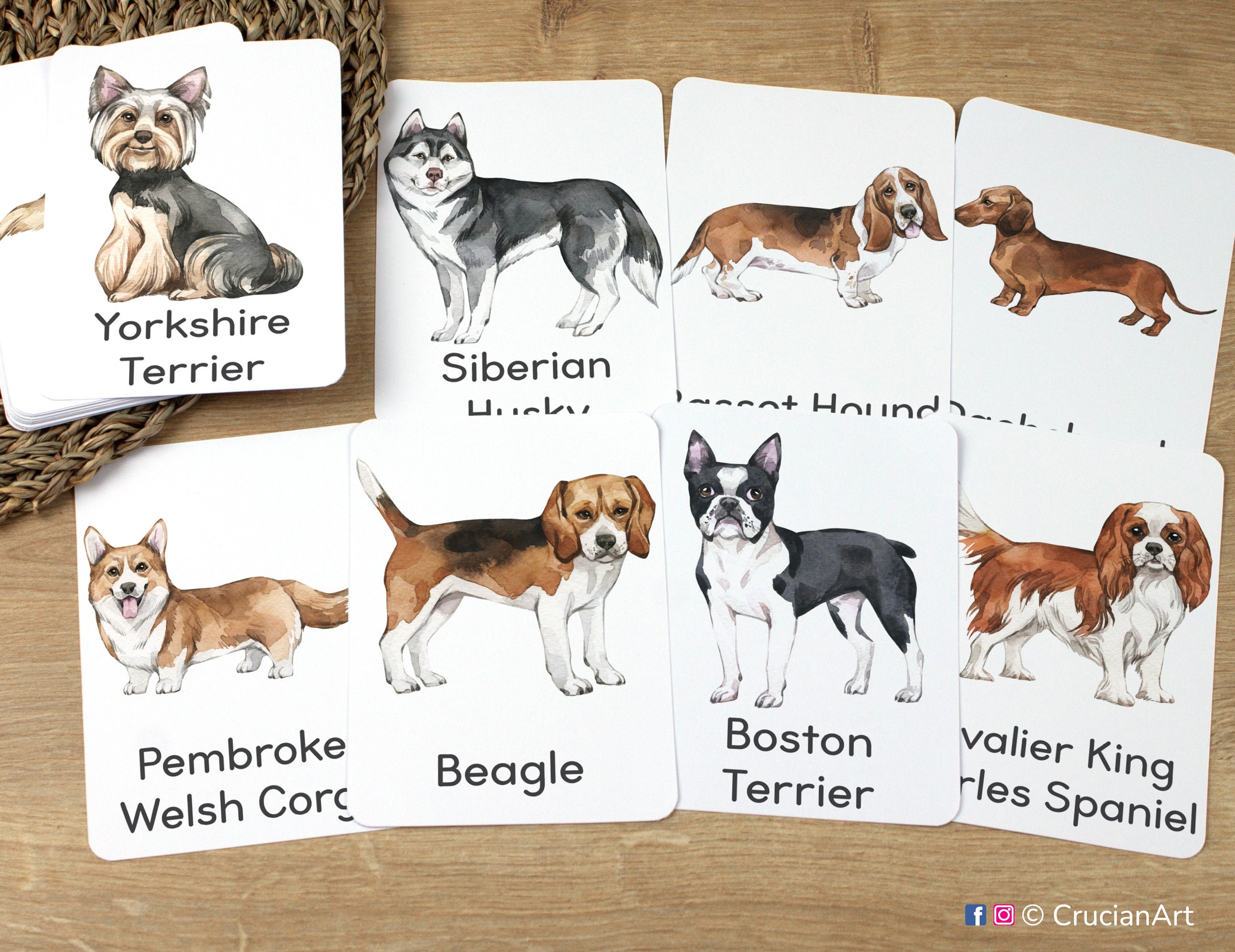 Dog Breeds Flashcards: Set of Printable Flash Cards. Preschool Learning ...